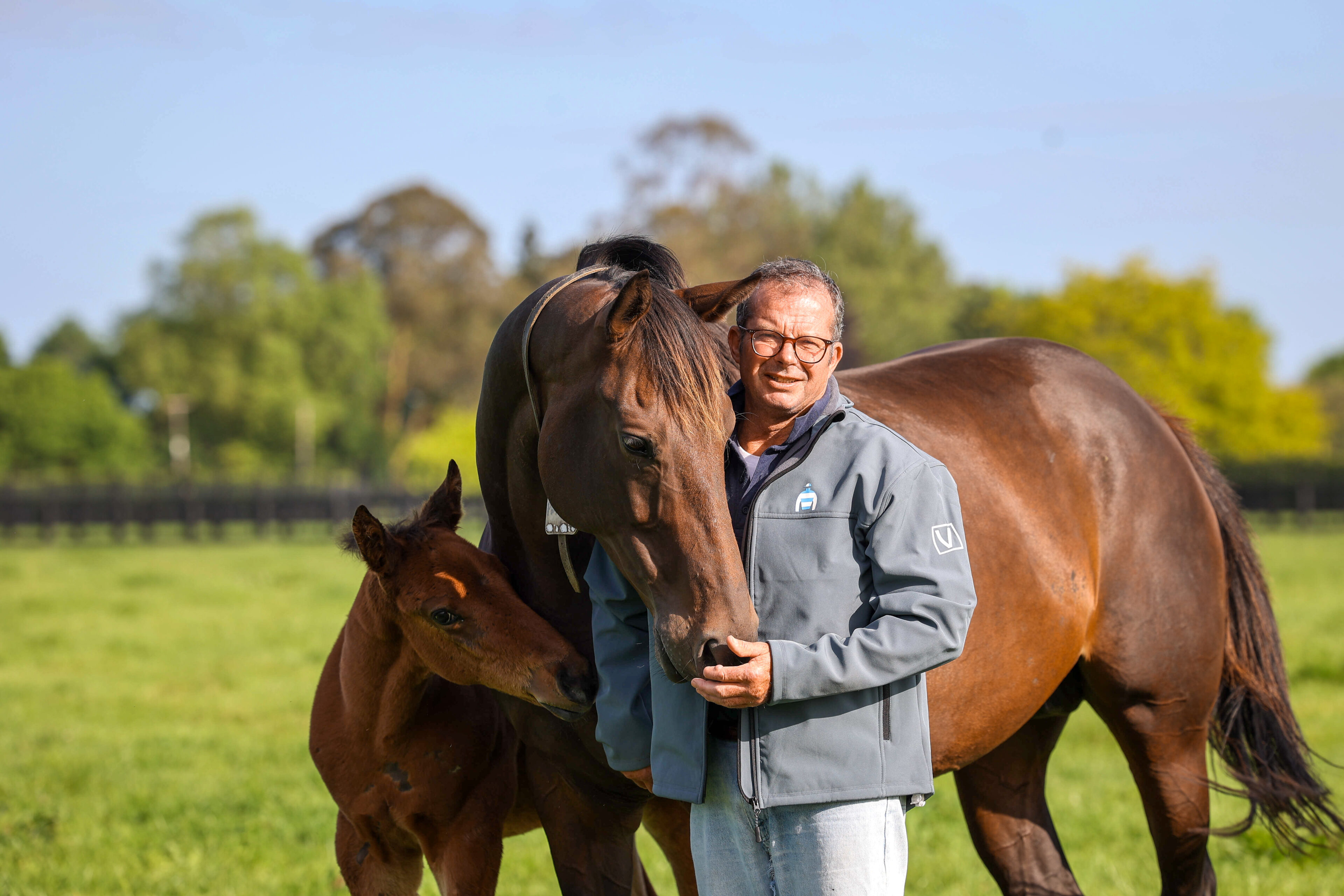 About Us | Pencarrow Stud