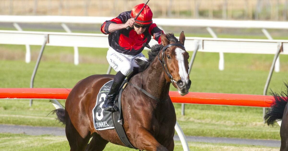 Pencarrow Stud a Spectacular Source of Racetrack… | Pencarrow Stud