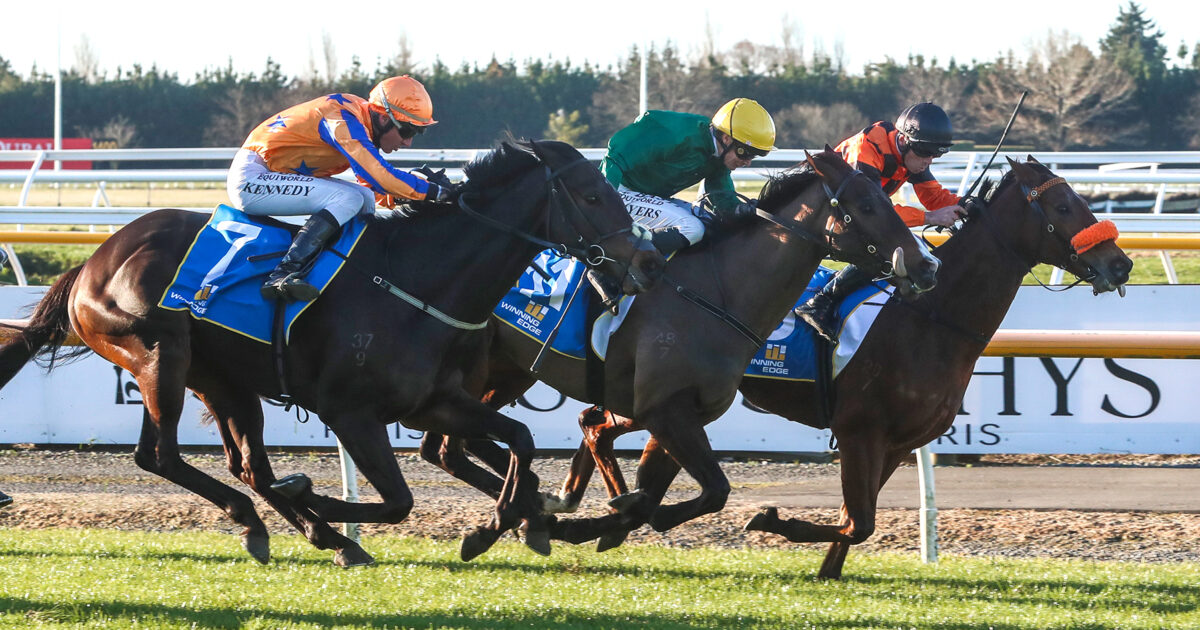 Jay Bee Gee (NZ) Provides Perfect Start to… | Pencarrow Stud