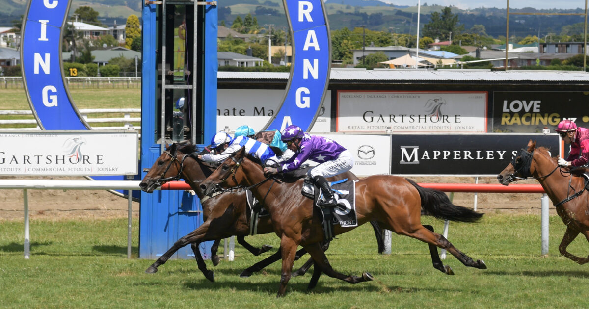 Naxos (NZ) Completes Tauranga Double for Pencarrow | Pencarrow Stud