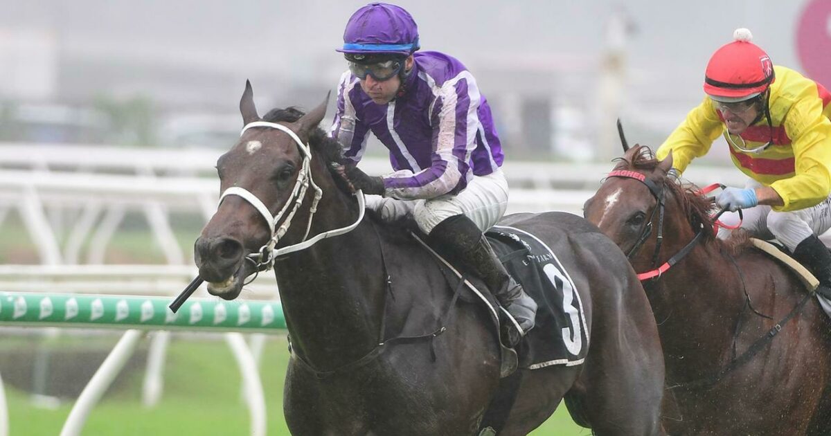 Ranch Hand Salutes During Queensland Carnival | Pencarrow Stud