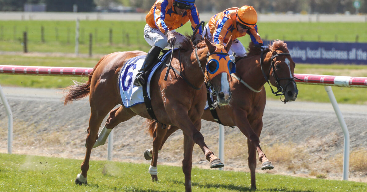 Group Three Win for Exciting Pencarrow Graduate | Pencarrow Stud