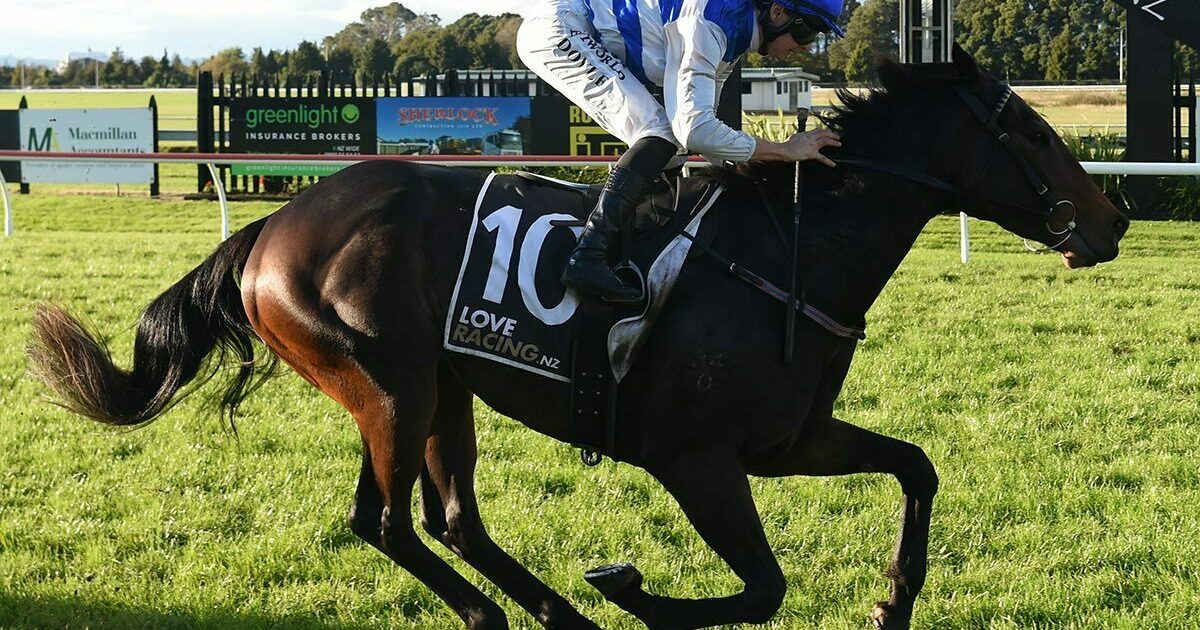 Brilliant Black-Type Breakthrough for Tomodachi (NZ) | Pencarrow Stud