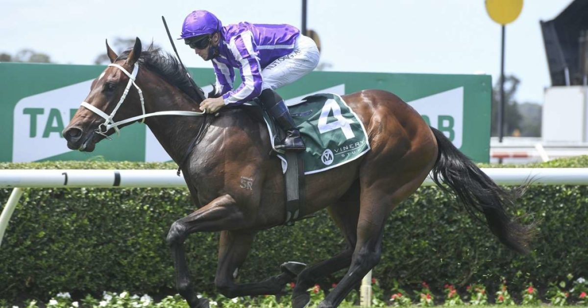 Ranch Hand Charges to Poseidon Stakes Success | Pencarrow Stud