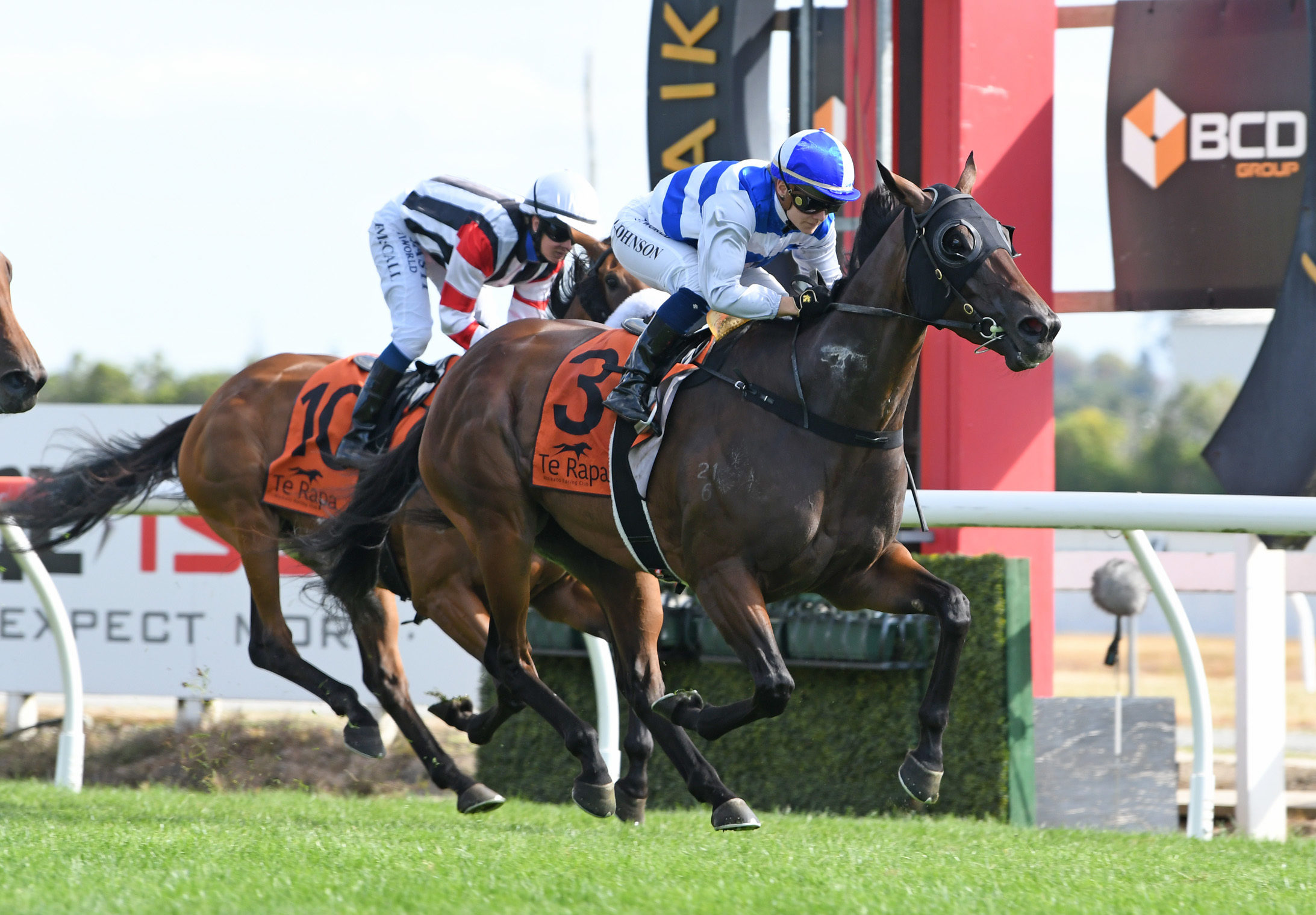 Stable Stars | Pencarrow Stud